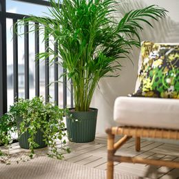 IKEA FR&Auml;KENV&Auml;XT &Uuml;bertopf