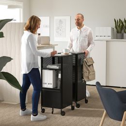 IKEA BEKANT Aufbewahrungselement mit Rollen