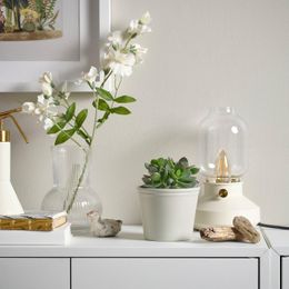 IKEA K&Ouml;RSB&Auml;RSBJ&Ouml;RK &Uuml;bertopf