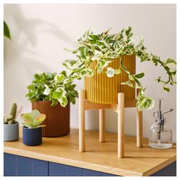 IKEA DAKSJUS Blumenst&auml;nder