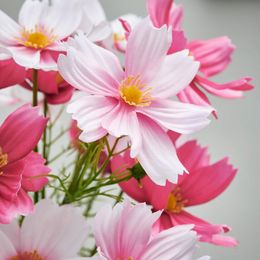 IKEA SMYCKA Kunstblumenstrau&szlig;