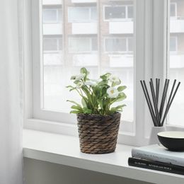 IKEA DRUVFL&Auml;DER &Uuml;bertopf