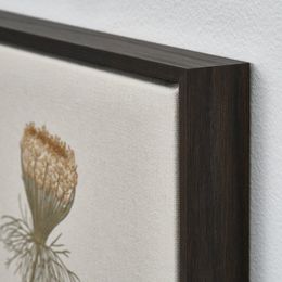 IKEA BLODFL&Auml;DER Bild