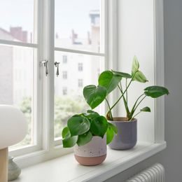 IKEA BUSKKAPRIFOL &Uuml;bertopf