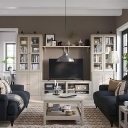 IKEA HAVSTA TV-Komb. mit Vitrinent&uuml;ren