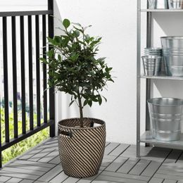 IKEA R&Aring;GKORN &Uuml;bertopf