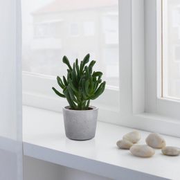 IKEA BOYSENB&Auml;R &Uuml;bertopf