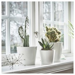 IKEA SOJAB&Ouml;NA &Uuml;bertopf