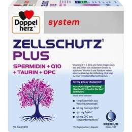 Queisser Doppelherz Zellschutz Plus Spermid.+Q10+Taurin+OPC 90 St
