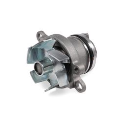 Hepu Wasserpumpe p1207 f&uuml;r LANCIA