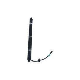 NRF Gasfeder, Koffer-/Laderaum 906005 f&uuml;r BYD