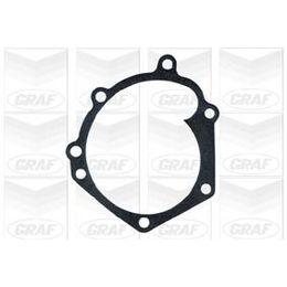 Graf Wasserpumpe pa240 f&uuml;r Peugeot Fiat Citro&euml;n