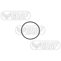 Graf Wasserpumpe pa422 f&uuml;r Volvo VW Audi