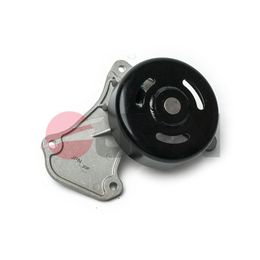 JPN Wasserpumpe 10c1095JPN f&uuml;r DACIA NISSAN