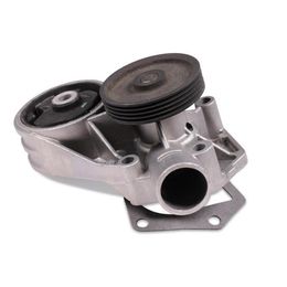 Hepu Wasserpumpe p643 f&uuml;r Skoda