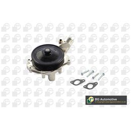 BGA Wasserpumpe cp4209h f&uuml;r JAGUAR LAND ROVER