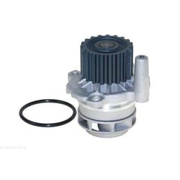 AUTOMEGA Wasserpumpe 160010110 f&uuml;r Ford Audi VAG Chrysler
