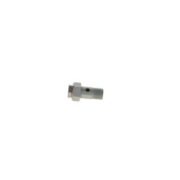 Bosch Ventil, Einspritzanlage 2417413101 f&uuml;r DAF RENAULT