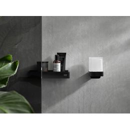 Emco loft Schwammkorb mit Kunststoffeinsatz 220 x 36 x 101 mm, schwarz/schwarz, 054513302 054513302