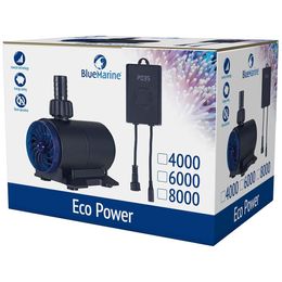 Blue Marine ECO POWER Pumpe 6000