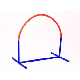 Procyon Hoopers Bogen