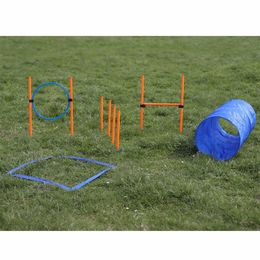 Procyon Agility Starter-Set