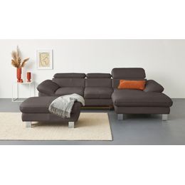 Ecksofa COTTA "Driver L-Form, B: 268 cm", braun (cacao), B:268cm H:73cm T:169cm, LEDER BEEFY (ein abgedecktes Spalt-Rindsleder) im Sitz und R&uuml;cken (Korpus in Kunstleder);Luxus-Kunstleder;Kunstleder SOFTLUX;Leder Pampas (echtes Rindsleder), R&uuml;ckseite mit schwarzem Spannstoff bezogen, Sofas, Ecksofa, Kopfteilverstellung, optional Bettfunktion & Bettkasten