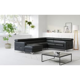 Wohnlandschaft COTTA "Sammy U-Form, B: 304 cm", schwarz, B:304cm H:74cm T:240cm, NaturLEDER, die R&uuml;ckseite ist mit schwarzem und die Liegefl&auml;che der Bettfunktion ist mit beigem Spannstoff bezogen, Sofas, Wohnlandschaft, Kopfteilverstellung, optional Bettfunktion & Bettkasten