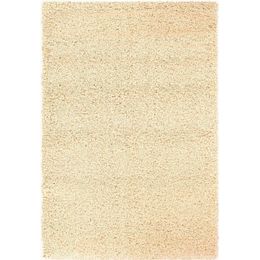 Hochflor-L&auml;ufer OCI DIE TEPPICHMARKE "LOBBY SHAGGY" Gr. 11, beige (creme), B:80cm H:52mm L:200cm, Polypropylen (PP), Teppiche, Langflor, Shaggy, robust, alle R&auml;ume