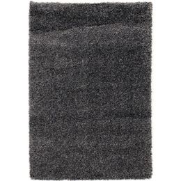 Hochflor-L&auml;ufer OCI DIE TEPPICHMARKE "LOBBY SHAGGY" Gr. 11, grau (dunkelgrau), B:80cm H:52mm L:200cm, Polypropylen (PP), Teppiche, Langflor, Shaggy, robust, alle R&auml;ume