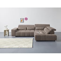 Ecksofa COTTA "Orion L-Form, B: 310 cm", grau (taupe), B:310cm H:70cm T:225cm, 90% Polyester, 10% Polyamid, Sofas, Ecksofa, Kopfteilverstellung & 5 Nierenkissen