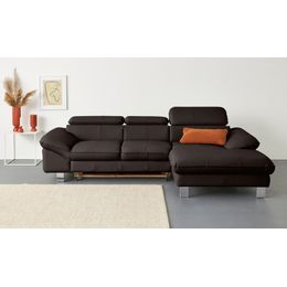 Ecksofa COTTA "Driver L-Form, B: 268 cm", braun, B:268cm H:73cm T:169cm, LEDER BEEFY (ein abgedecktes Spalt-Rindsleder) im Sitz und R&uuml;cken (Korpus in Kunstleder);Luxus-Kunstleder;Kunstleder SOFTLUX;Leder Pampas (echtes Rindsleder), R&uuml;ckseite mit schwarzem Spannstoff bezogen, Sofas, Ecksofa, Kopfteilverstellung, optional Bettfunktion & Bettkasten