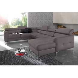 Wohnlandschaft COTTA "Sammy U-Form, B: 304 cm", grau, B:304cm H:74cm T:240cm, NaturLEDER, die R&uuml;ckseite ist mit schwarzem und die Liegefl&auml;che der Bettfunktion ist mit beigem Spannstoff bezogen, Sofas, Wohnlandschaft, Kopfteilverstellung, optional Bettfunktion & Bettkasten