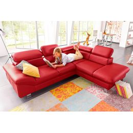 Ecksofa COTTA "Driver L-Form, B: 265 cm", rot, B:268cm H:73cm T:214cm, Kunstleder SOFTLUX;LEDER BEEFY (ein abgedecktes Spalt-Rindsleder) im Sitz und R&uuml;cken (Korpus in Kunstleder);Luxus-Kunstleder;Leder Pampas (echtes Rindsleder) im Sitz und R&uuml;cken (R&uuml;ckseite mit Spannstoff bezogen), Sofas, Ecksofa, Kopfteilverstellung, optional Bettfunktion & Bettkasten