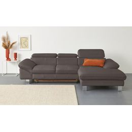 Ecksofa COTTA "Driver L-Form, B: 268 cm", braun (cacao), B:268cm H:73cm T:169cm, LEDER BEEFY (ein abgedecktes Spalt-Rindsleder) im Sitz und R&uuml;cken (Korpus in Kunstleder);Luxus-Kunstleder;Kunstleder SOFTLUX;Leder Pampas (echtes Rindsleder), R&uuml;ckseite mit schwarzem Spannstoff bezogen, Sofas, Ecksofa, Kopfteilverstellung, optional Bettfunktion & Bettkasten