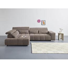 Ecksofa COTTA "Orion L-Form, B: 310 cm", grau (taupe), B:310cm H:70cm T:225cm, 90% Polyester, 10% Polyamid, Sofas, Ecksofa, Kopfteilverstellung & 5 Nierenkissen