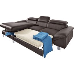 Ecksofa COTTA "Driver L-Form, B: 268 cm", braun, B:268cm H:73cm T:169cm, LEDER BEEFY (ein abgedecktes Spalt-Rindsleder) im Sitz und R&uuml;cken (Korpus in Kunstleder);Luxus-Kunstleder;Kunstleder SOFTLUX;Leder Pampas (echtes Rindsleder), R&uuml;ckseite mit schwarzem Spannstoff bezogen, Sofas, Ecksofa, Kopfteilverstellung, optional Bettfunktion & Bettkasten