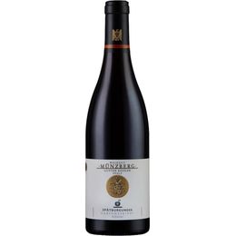 Weingut M&uuml;nzberg Weingut M&uuml;nzberg Godramsteiner Affolter Sp&auml;tburgunder ERSTE LAGE 2022 - Pfalz &ndash; Rotwein Qualit&auml;tswein
