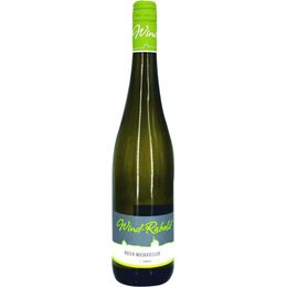 Wein- und Sektgut Wind-Rabold Roter Muskateller 2025 Trocken - Pfalz &ndash; Wei&szlig;wein Qualit&auml;tswein