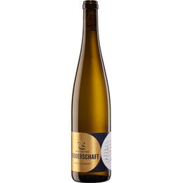 Weingut zur Burg Riesling 2025 Lieblich - Kl&uuml;sserather Bruderschaft Mosel &ndash; Wei&szlig;wein Kabinett