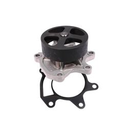 Hepu Wasserpumpe p7398 f&uuml;r NISSAN RENAULT