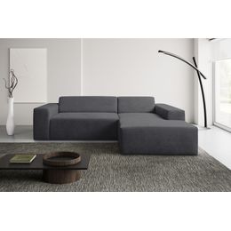 Ecksofa WERK2 "Zeus-L modern & zeitlos, Breite 253 cm, bequemes Sofa", grau (anthrazit), B:253cm H:70cm T:188cm, 92% Polyester, 8% Nylon, Sofas, Ecksofa, moderne Optik mit abgerundeten Kanten
