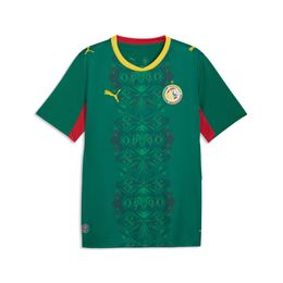 Trainingsshirt Puma "Senegal 2026 Ausw&auml;rtstrikot Herren", Herren, Gr. L, gr&uuml;n (wild gr&uuml;n rot), Obermaterial: 100% Polyester. Kragen: 100% Polyester. Einsatz: 100% Polyester, regular fit, Rundhals, Shirts
