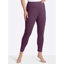 sheego Gro&szlig;e Gr&ouml;&szlig;en Leggings mit Rundum-Dehnbund, beere, Gr&ouml;&szlig;e 52 - Damen