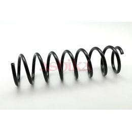 ASHIKA Fahrwerksfeder zca6693c Hinterachse f&uuml;r BMW