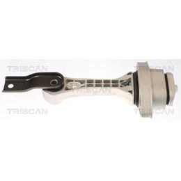 TRISCAN Lagerung, Motor 850529100 f&uuml;r VW