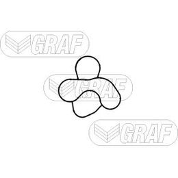Graf Wasserpumpe pa1372 f&uuml;r VW Skoda Audi SEAT