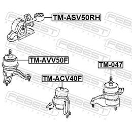FEBEST Lagerung, Motor tmasv50rh vorne rechts f&uuml;r TOYOTA