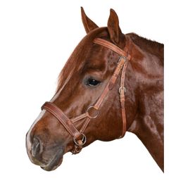 L-pro West Sidepull Cairns braun Mini-Shetty