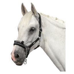 Eskadron Halfter mit F&uuml;hrkette Control schwarz PONY